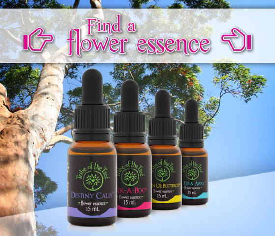 Flower Essences | Tribe of the Tree | Australian-made
